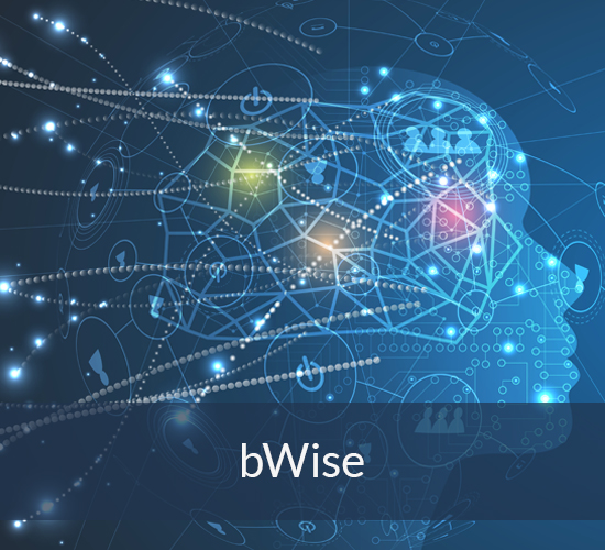 bWise | Atma
